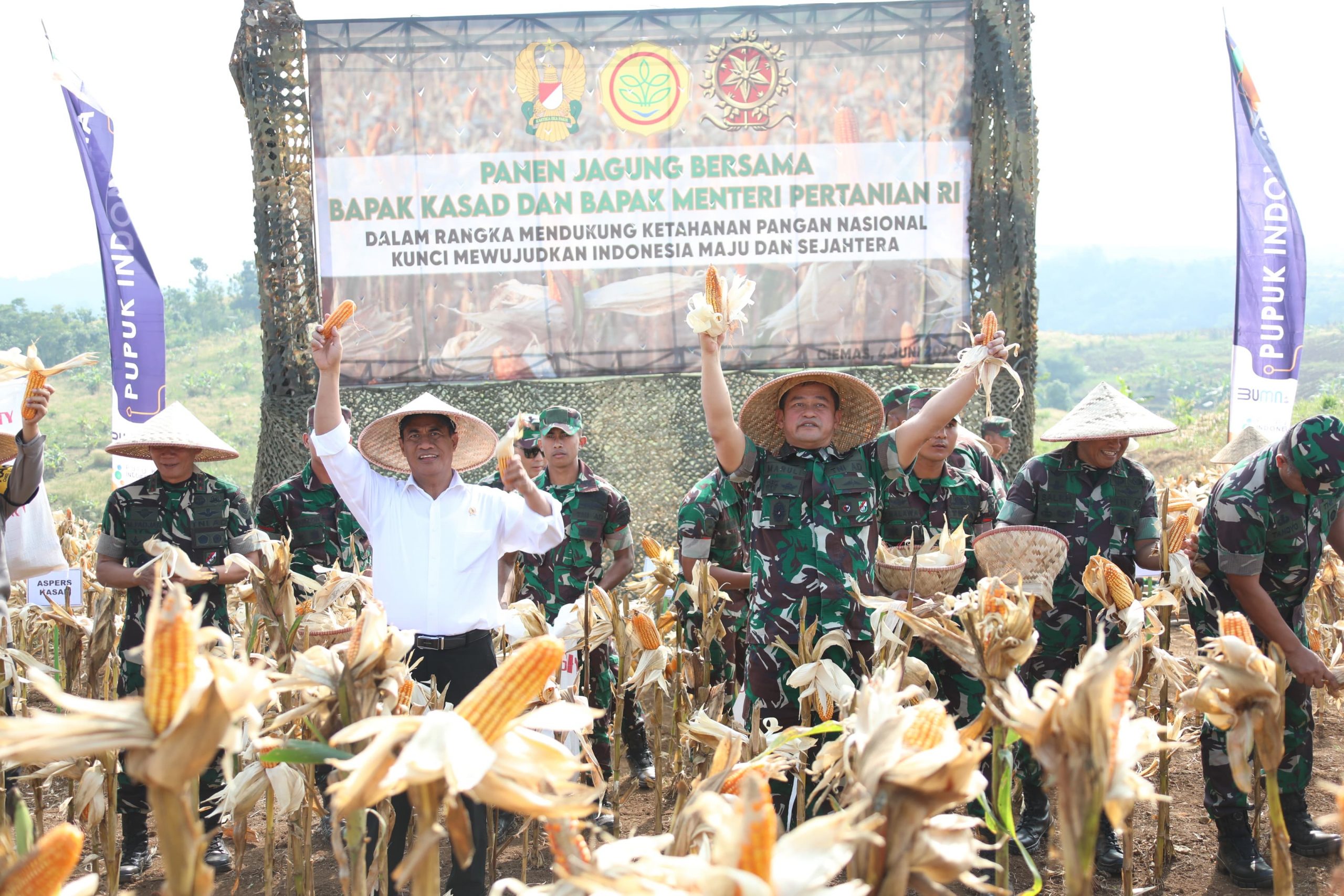 Panen Jagung dan Singkong Bersama KSAD, Mentan Amran Puji Gerakan Tanam ...